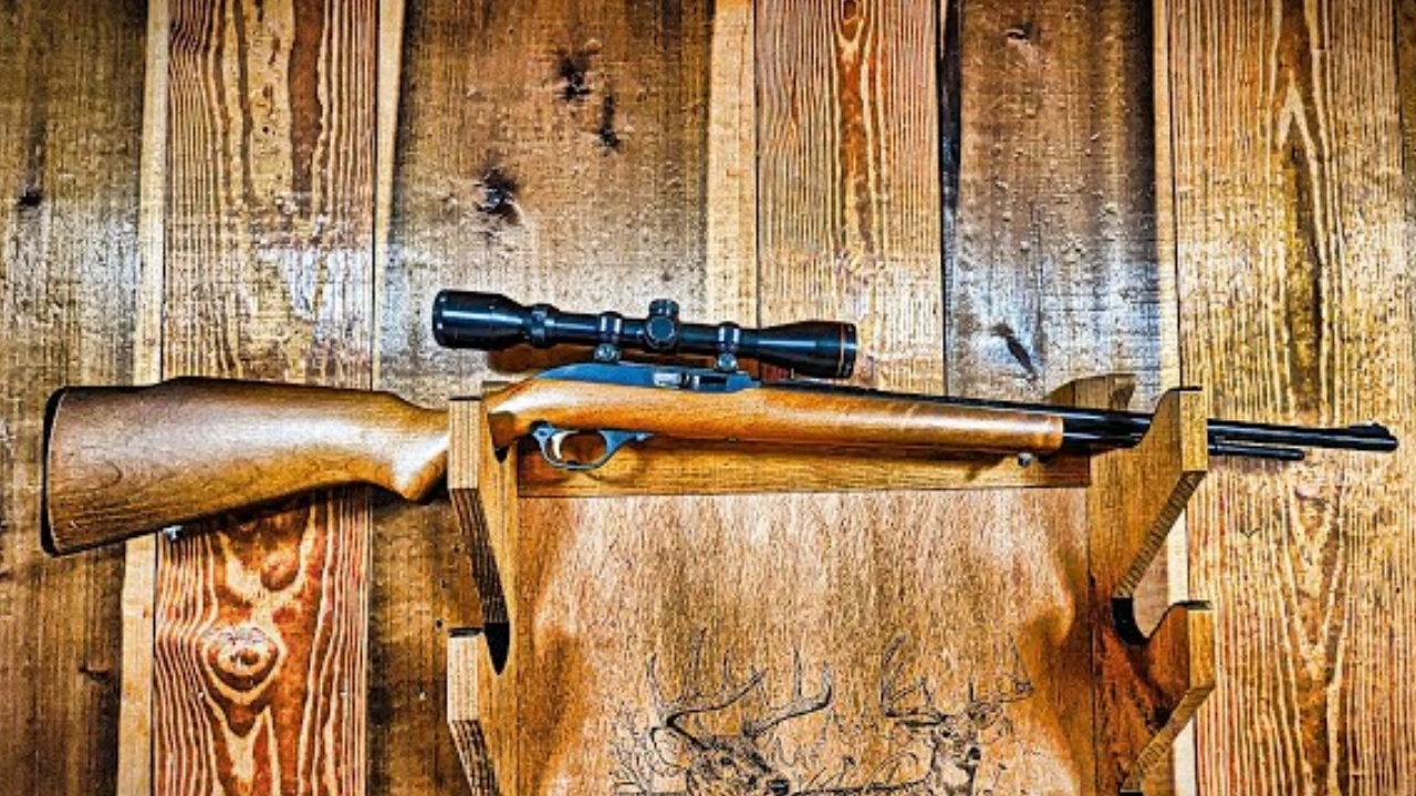 Rifles That Are Easy to Shoot—and Easy on the Wallet