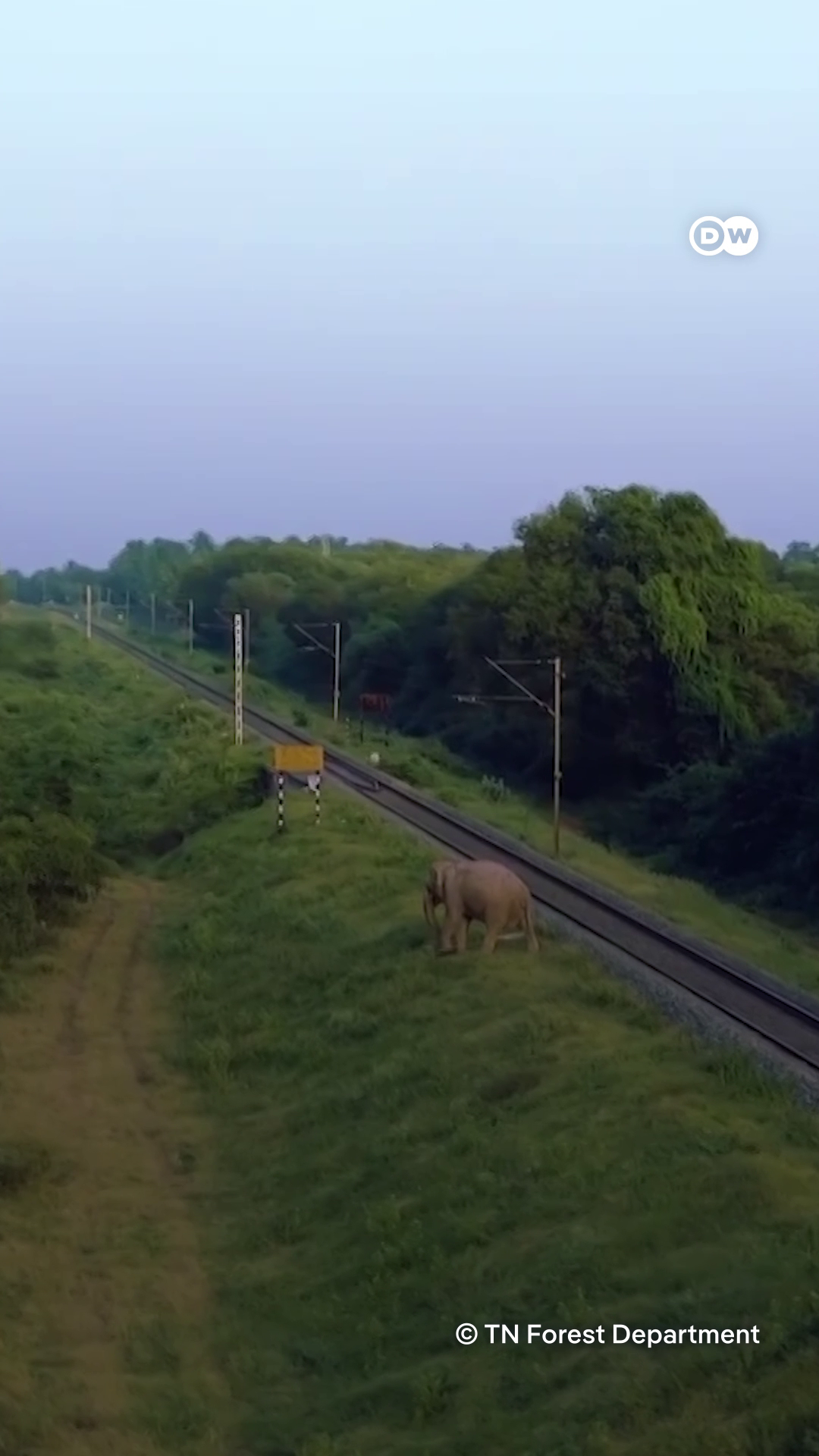 In India, AI tech keeps elephants away from trains