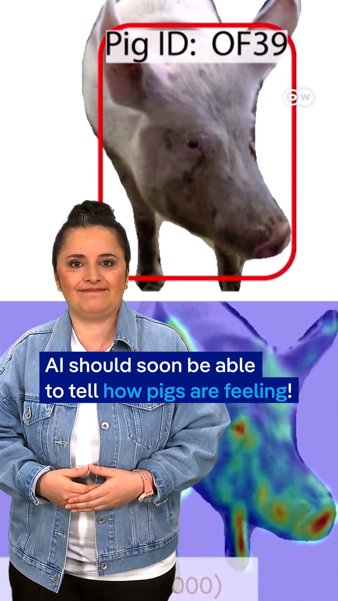 AI should soon be able to tell how pigs are feeling!