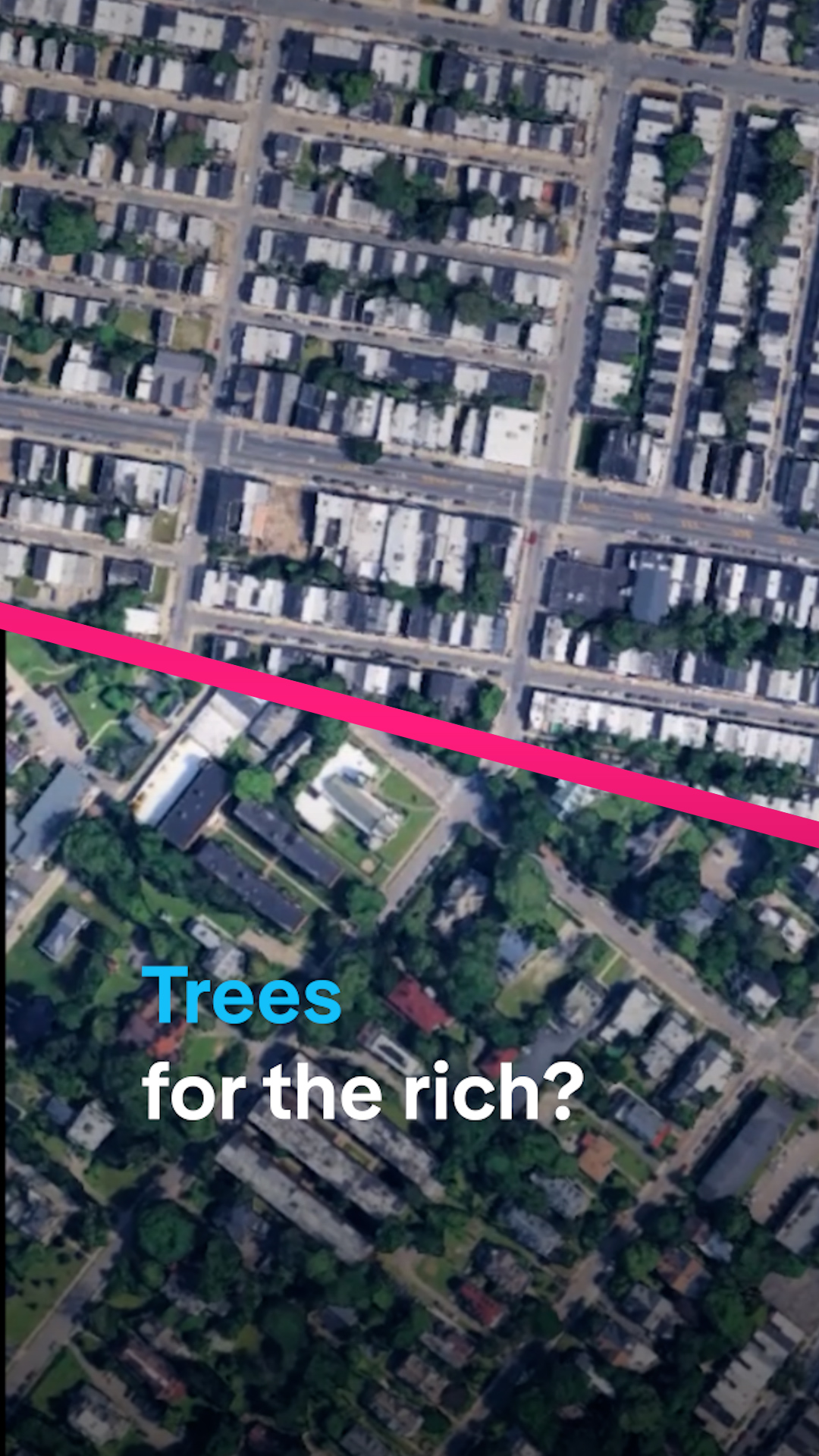 The Trump administration's next target? Trees.