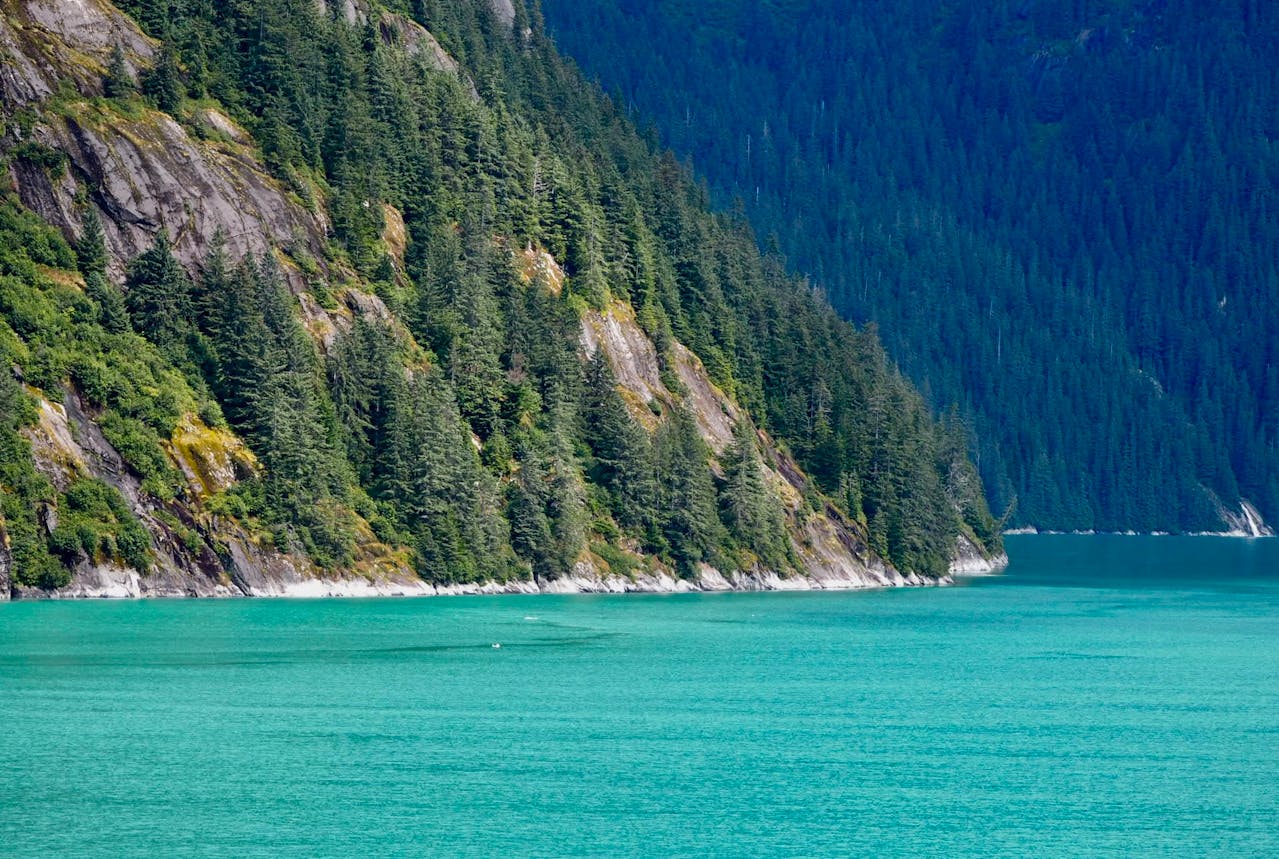 50 states, 50 facts: Some weird, some wild, all true... how many did ...