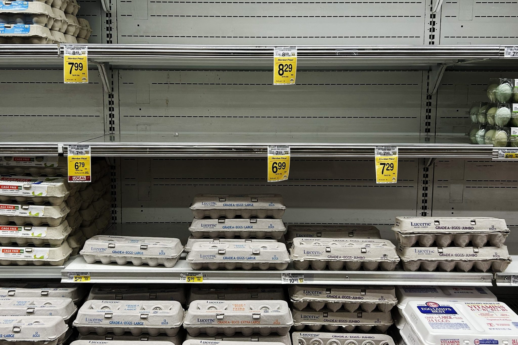 America’s largest egg producer saw profits triple last quarter after ...