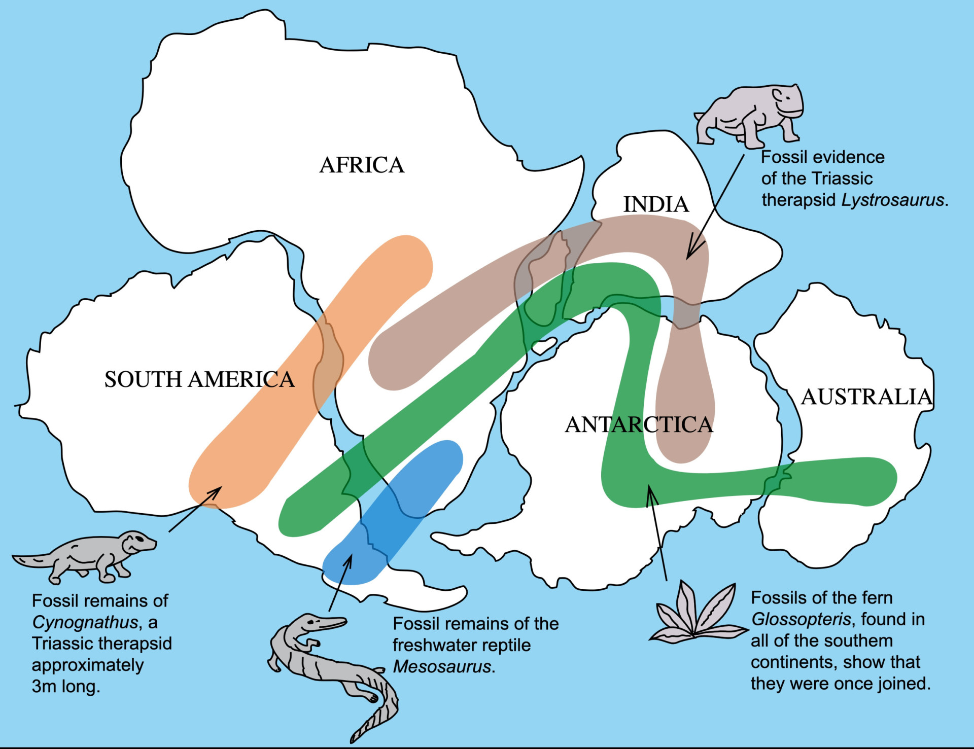 Scientists have discovered that the Atlantic Ocean is shrinking