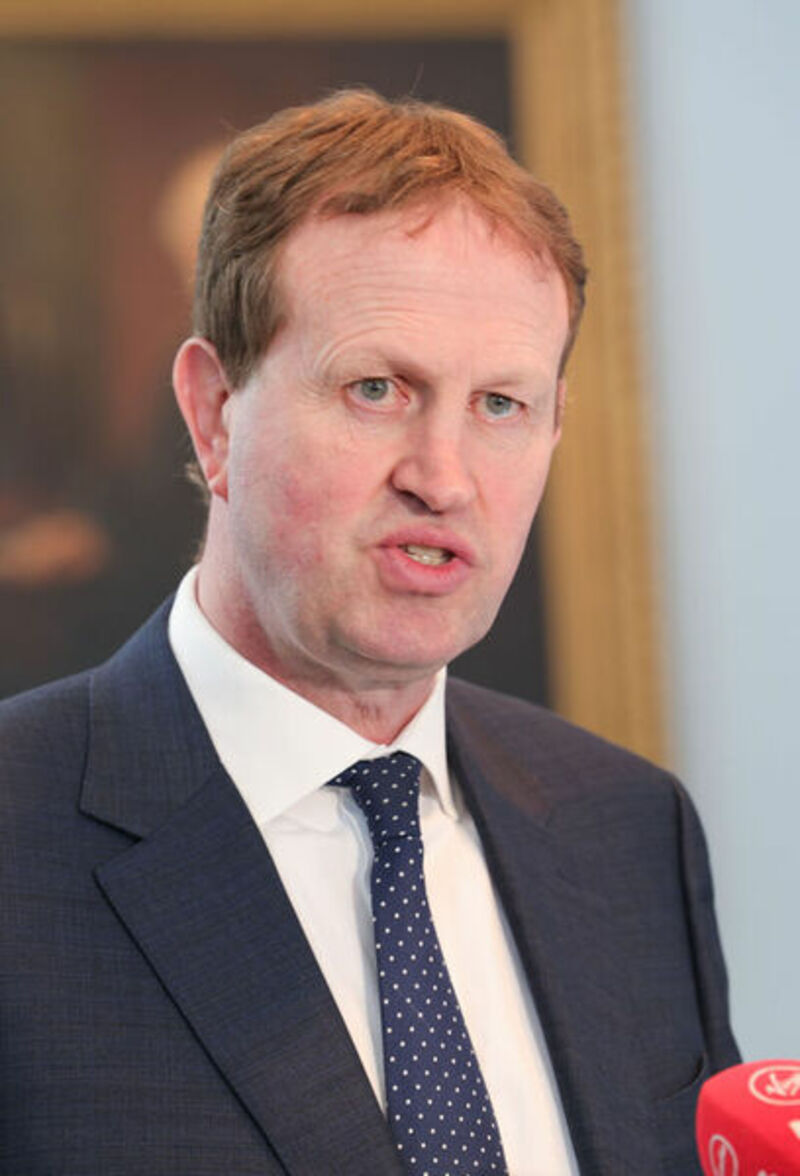 Law allowing naturalised Irish citizenship to be revoked in serious ...