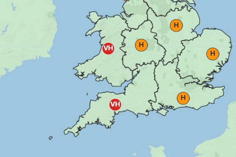 'Pollen bomb' warning to South West hay fever sufferers