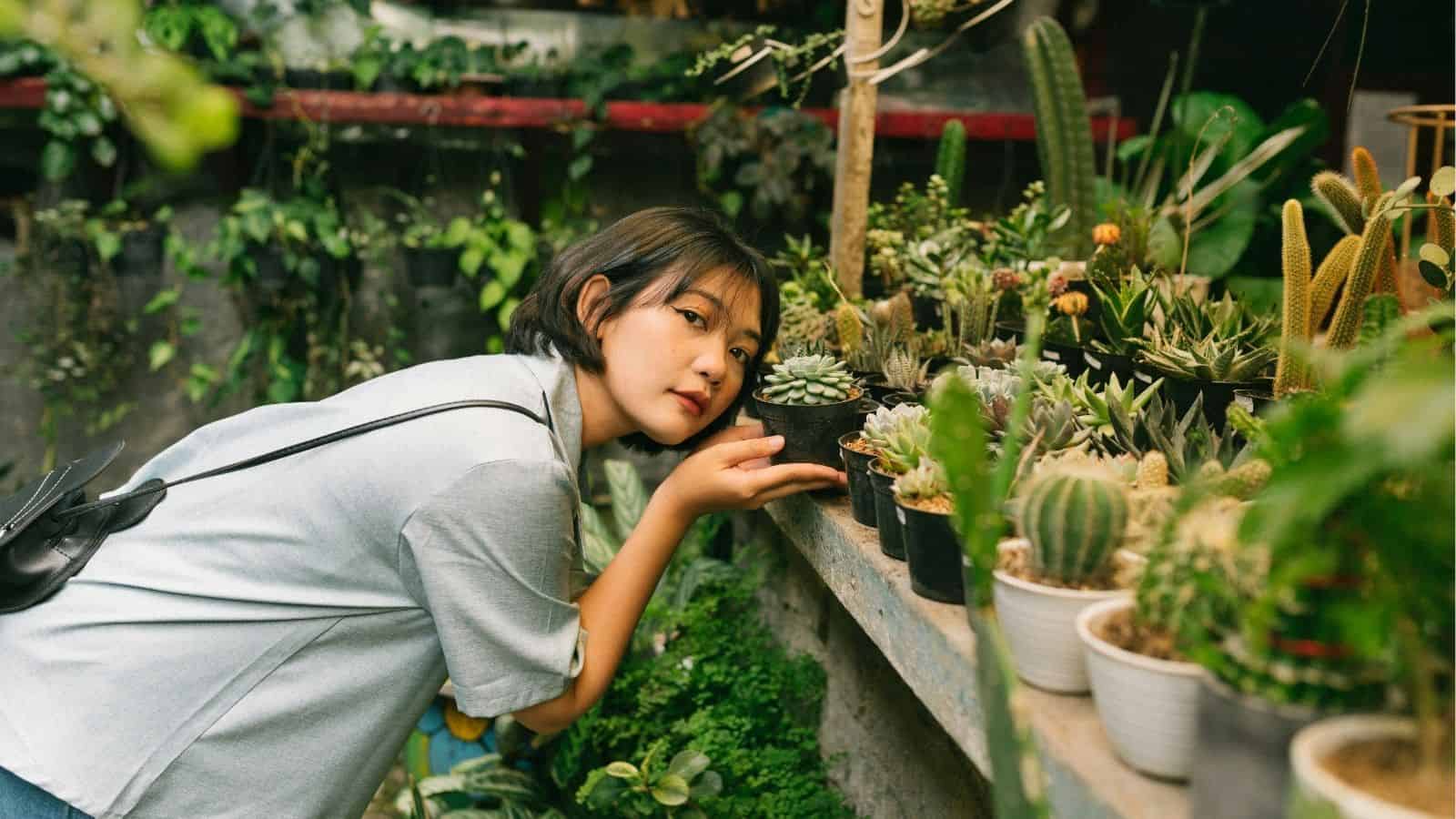 12 Low Maintenance Houseplants Anyone Can Keep Alive