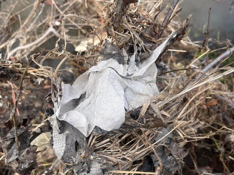 Macomb County says 1.2 million gallons of raw sewage overflows into Red ...