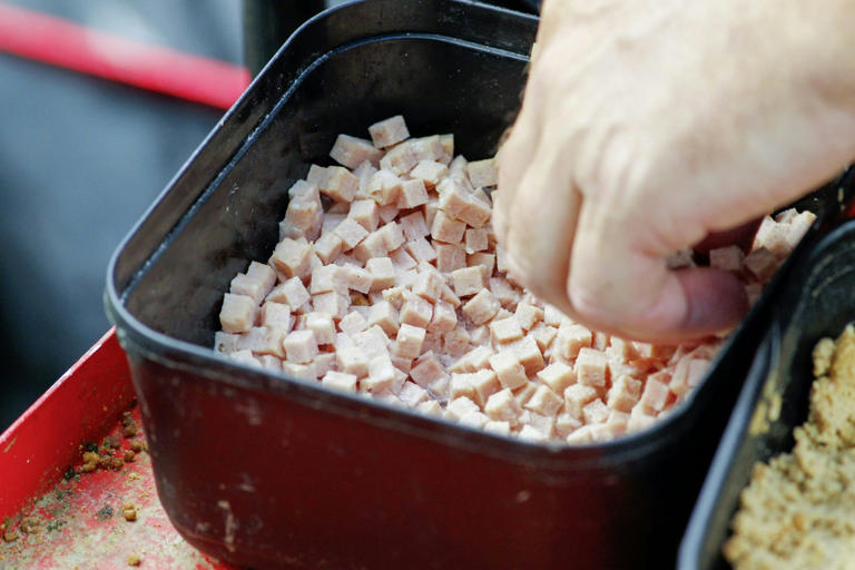 The best fishing baits