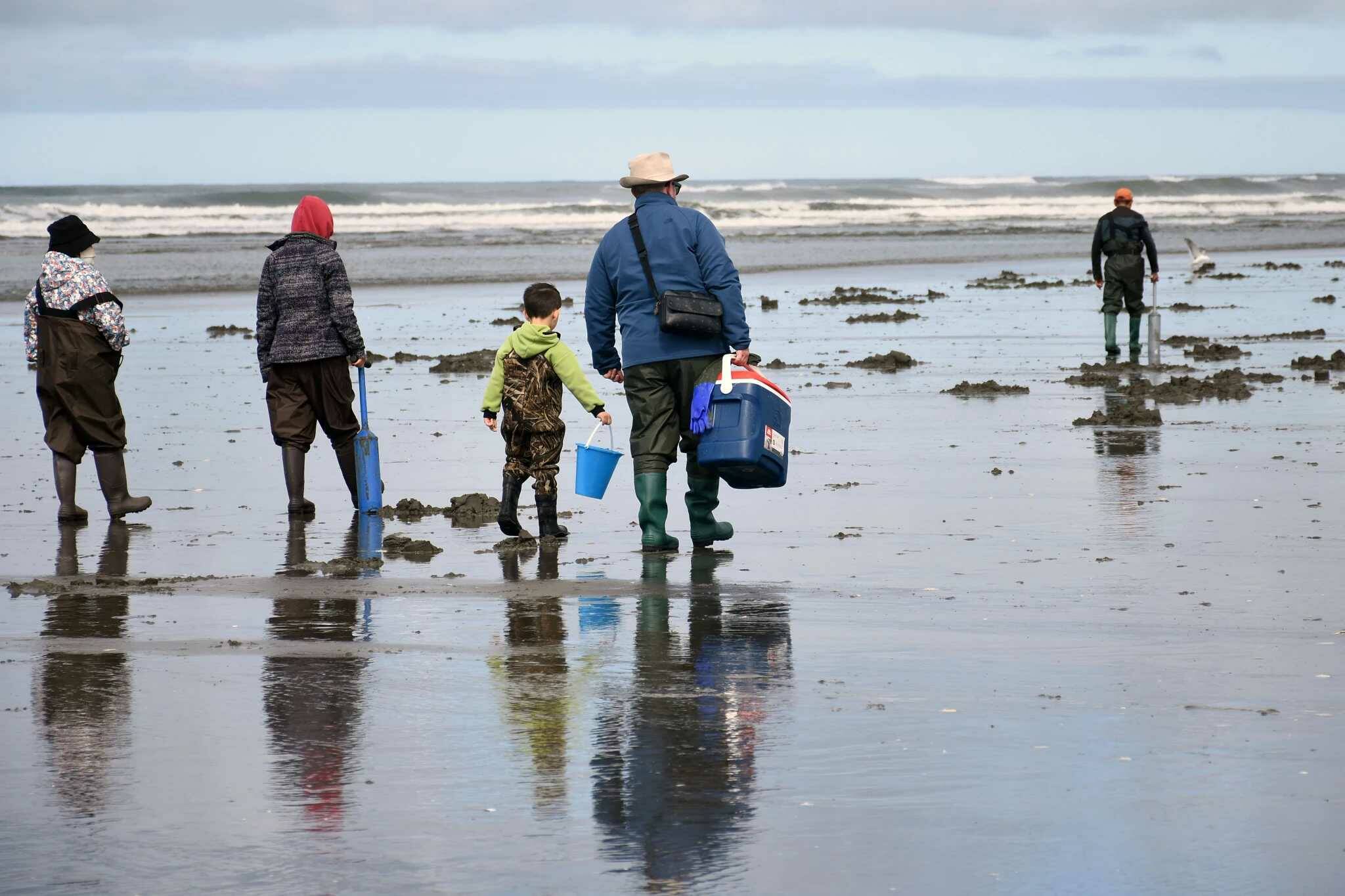 WDFW approves coastal razor clam digs beginning April 12