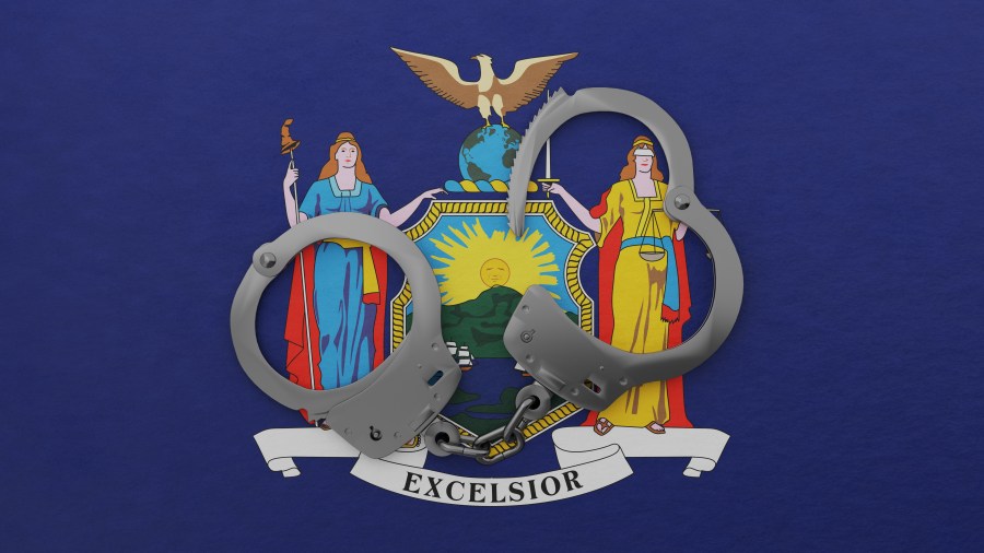 New York confirms formerly incarcerated SCOC commissioner, makes judges ...