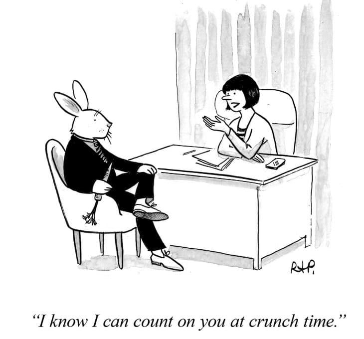 40 Single-Panel Animal Comics From Cartoonist Rose Anne Prevec