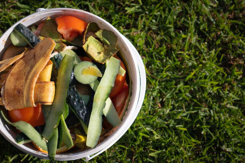 16 Edible Art Projects: Transforming Kitchen Scraps into Sustainable Décor