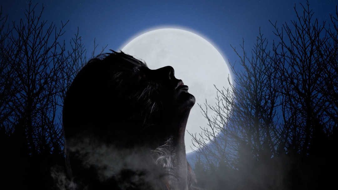 Exploring the Art of Makeup Transitions