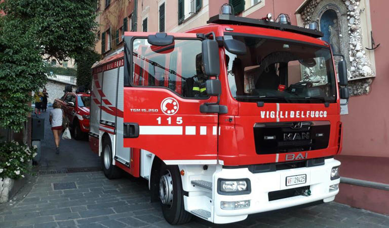Avegno: api o vespe nel camino, anziana chiede aiuto ai vigili del fuoco