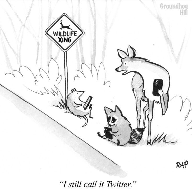 40 Single-Panel Animal Comics From Cartoonist Rose Anne Prevec