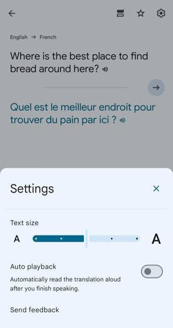 Don’t Speak the Language? No Problem! Google Translate Has You Covered ...