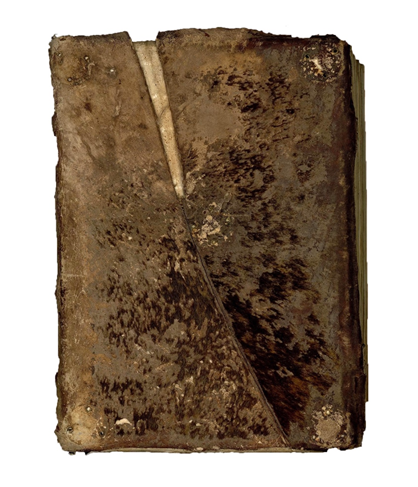 Some 'Hairy' Medieval Books Were Covered in Sealskin, and Researchers ...