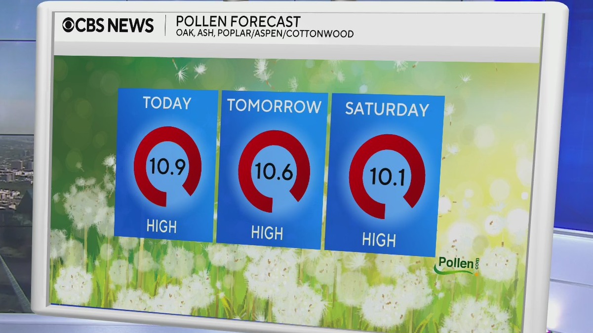 Despite nice temperatures, pollen remains high in North Texas