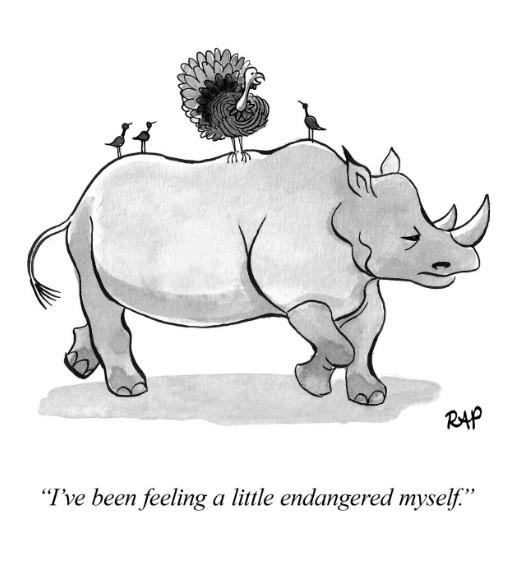 40 Single-Panel Animal Comics From Cartoonist Rose Anne Prevec