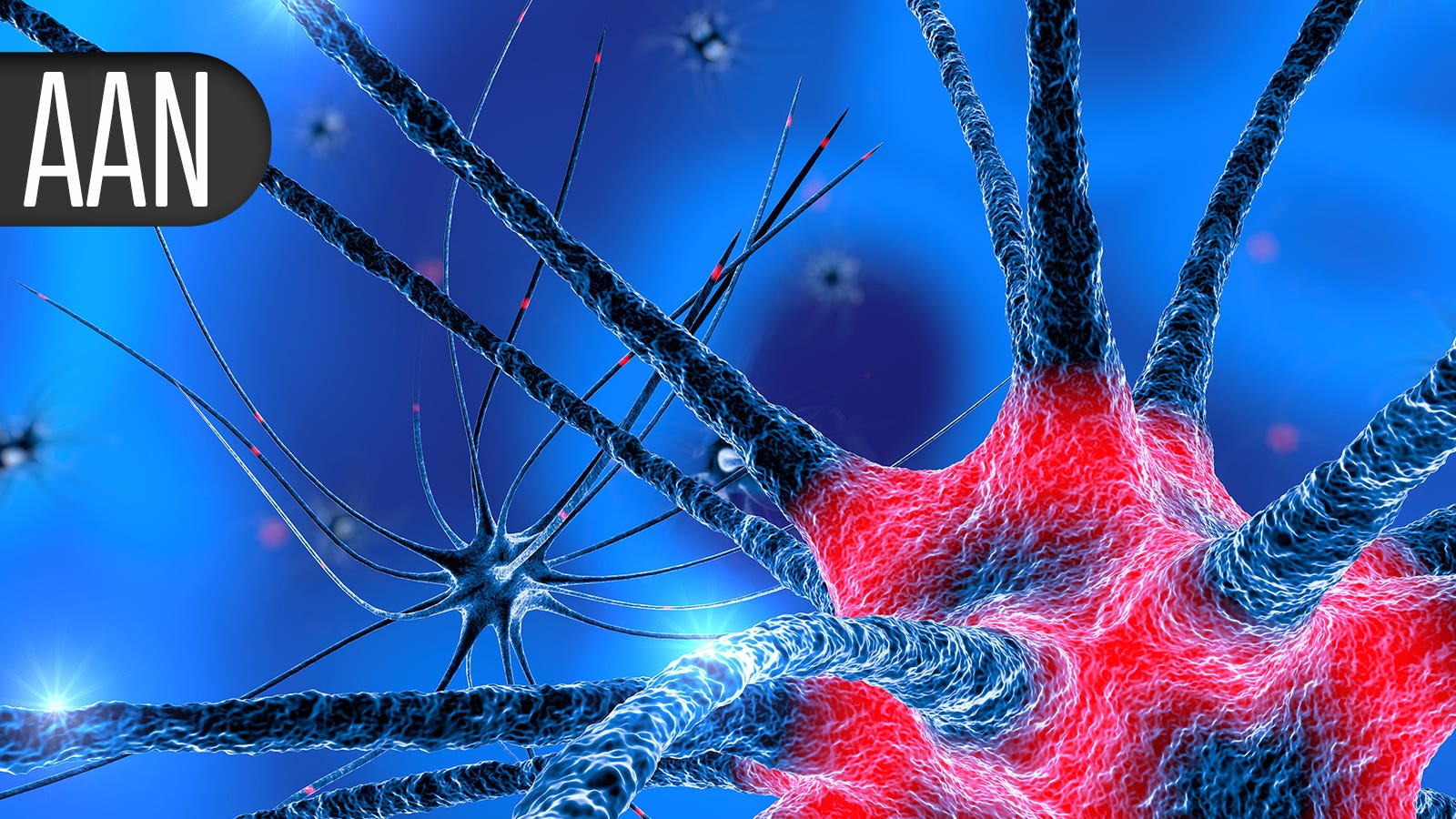 Benefits in Myasthenia Gravis Extend to 52 Weeks With Inebilizumab