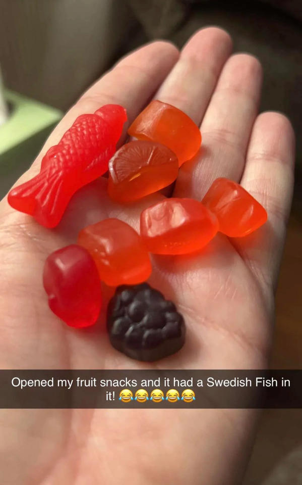 50 Funniest ‘You Had One Job’ Fails That Somehow Made It Past QA This Week