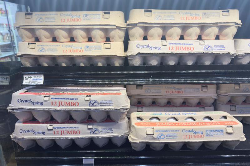 Retail Egg Prices Hit Record High
