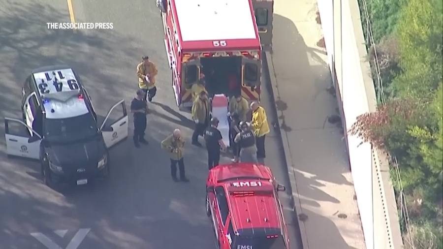 VIDEO: Wife of Weezer bassist arrested after being shot by police