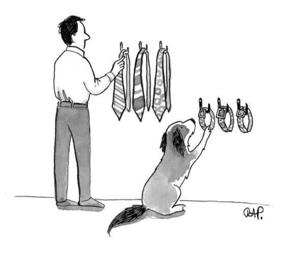 40 Single-Panel Animal Comics From Cartoonist Rose Anne Prevec