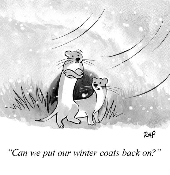 40 Single-Panel Animal Comics From Cartoonist Rose Anne Prevec