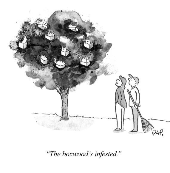 40 Single-Panel Animal Comics From Cartoonist Rose Anne Prevec