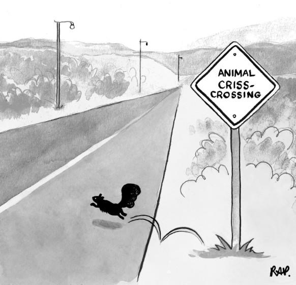 40 Single-Panel Animal Comics From Cartoonist Rose Anne Prevec