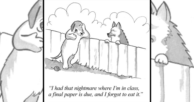 40 Single-Panel Animal Comics From Cartoonist Rose Anne Prevec