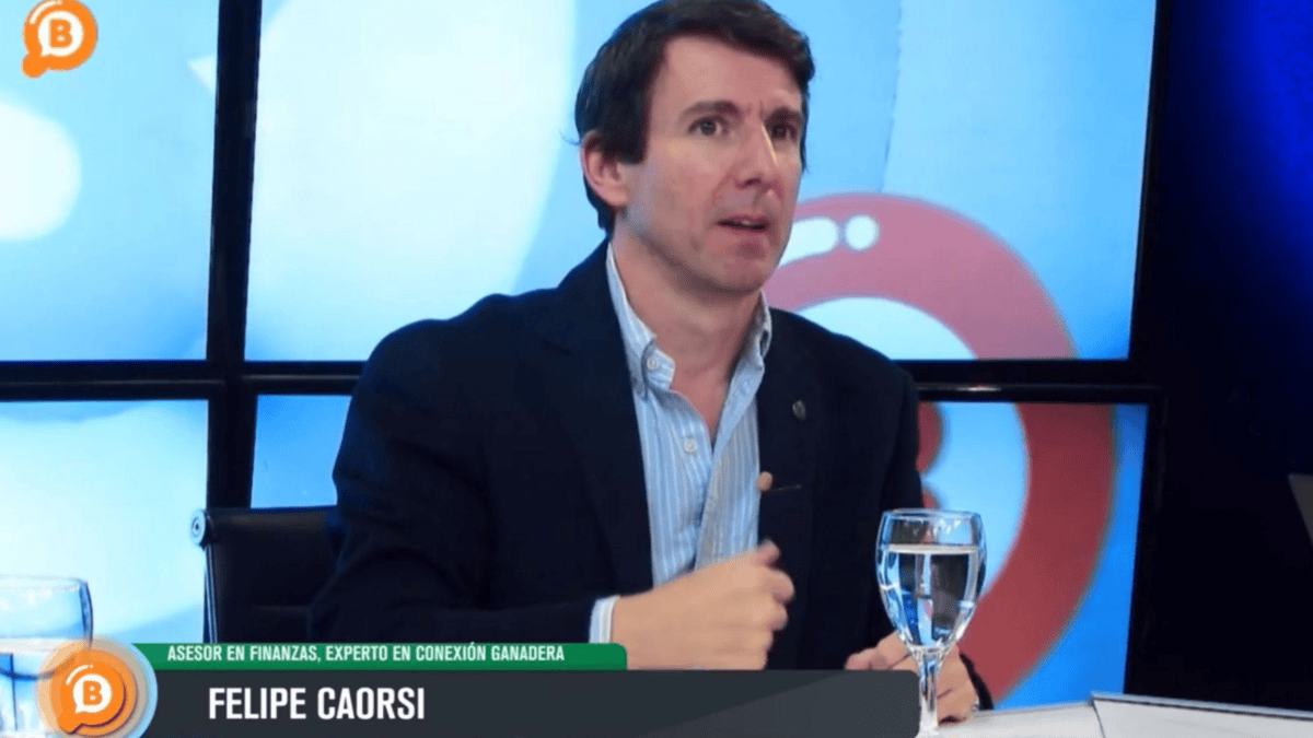 Narcos, estafas y amenazas de muerte: el lado oscuro detrás de Conexión Ganadera, revelado por ...