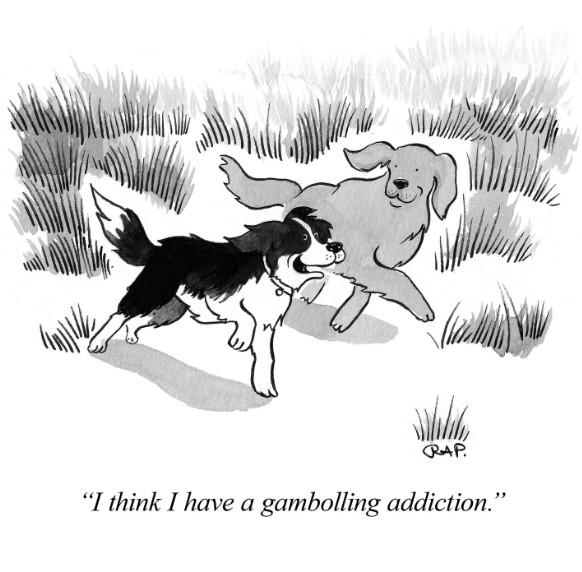 40 Single-Panel Animal Comics From Cartoonist Rose Anne Prevec