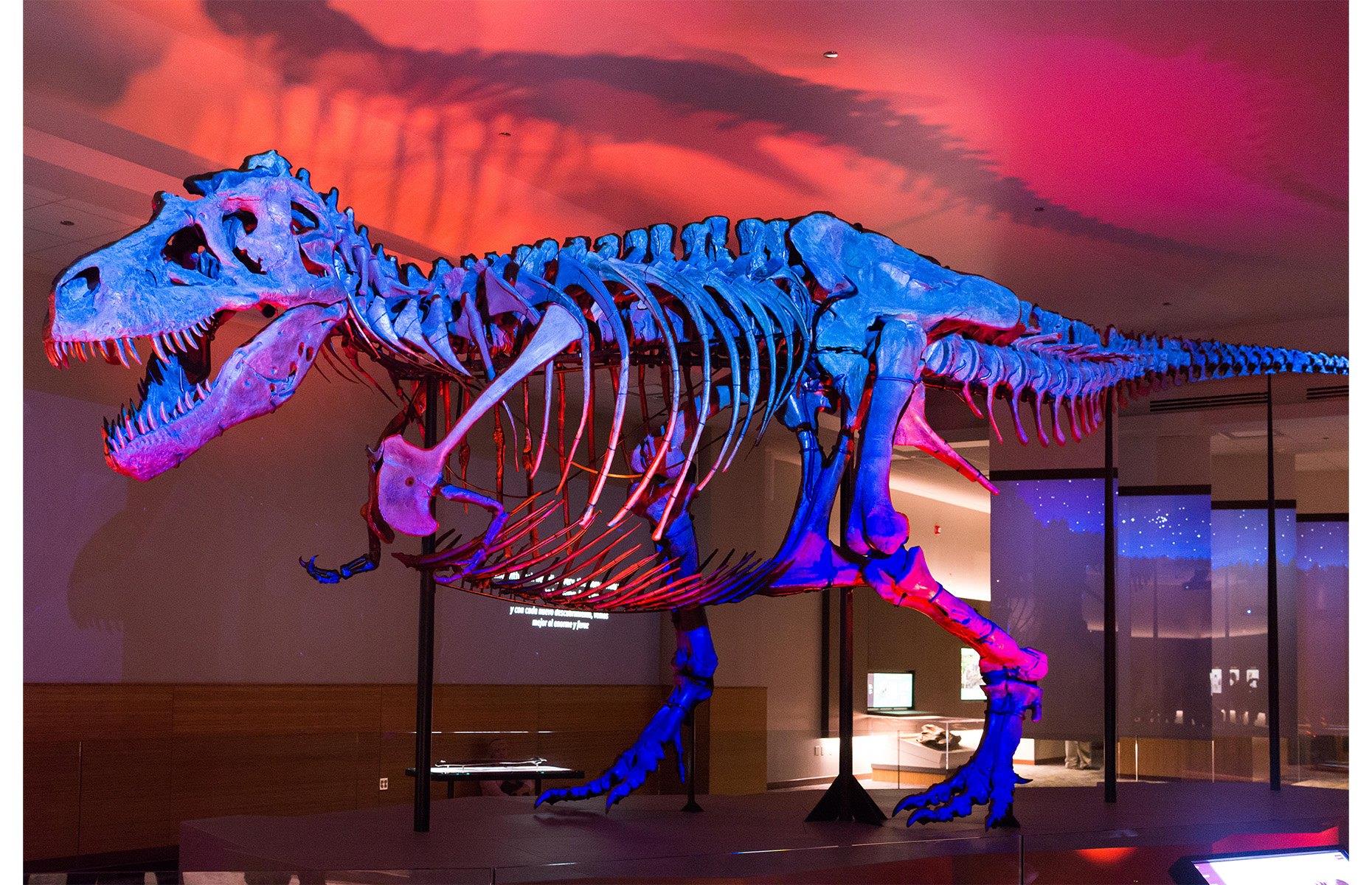 Every US state's most fascinating archaeological discovery