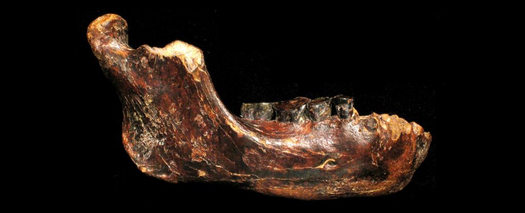 First Denisovan Fossil Discovered in Taiwan Reveals Secrets of Our ...
