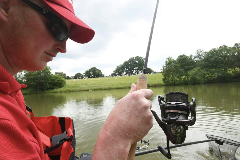 The best feeder fishing reels