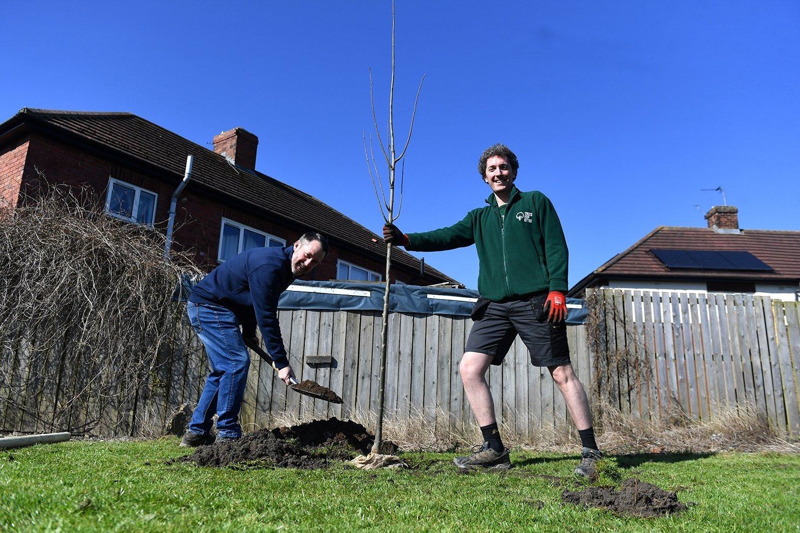 £250,000 tree planting project starts in Hartlepool
