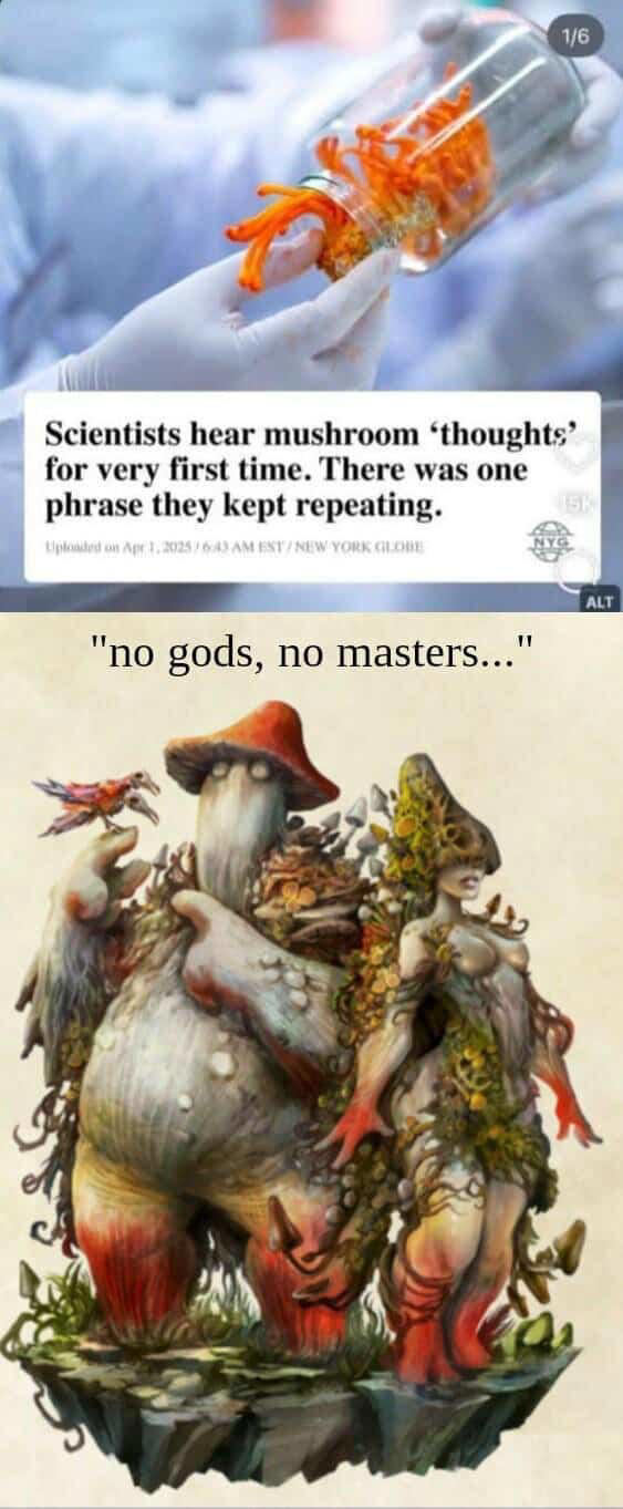 36 Funniest D&D Memes Looted From An Evil Wizard This Week (April 10, 2025)