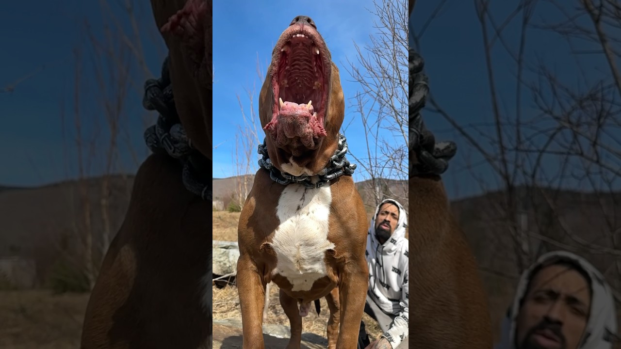 Hulk at 10 years old still looks like a legend