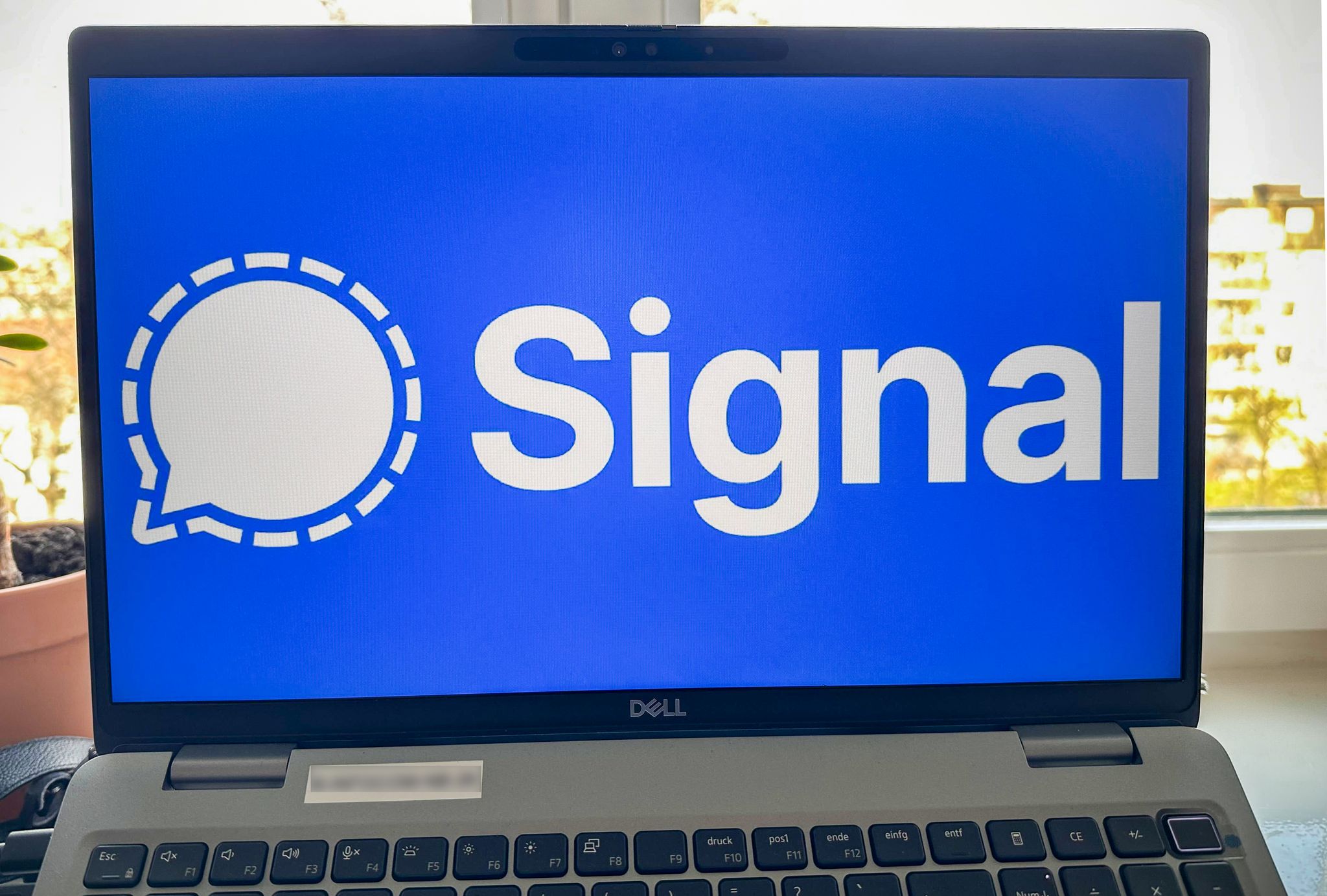 Signal-Messenger: GIFs ziehen in Desktop-Version ein