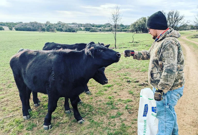 Third generation ranchers return to Taylor County to continue family legacy