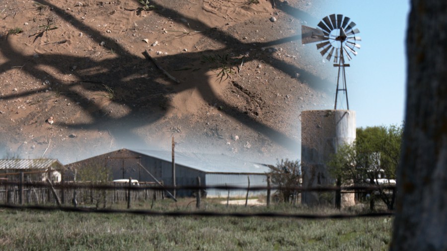 Third generation ranchers return to Taylor County to continue family legacy
