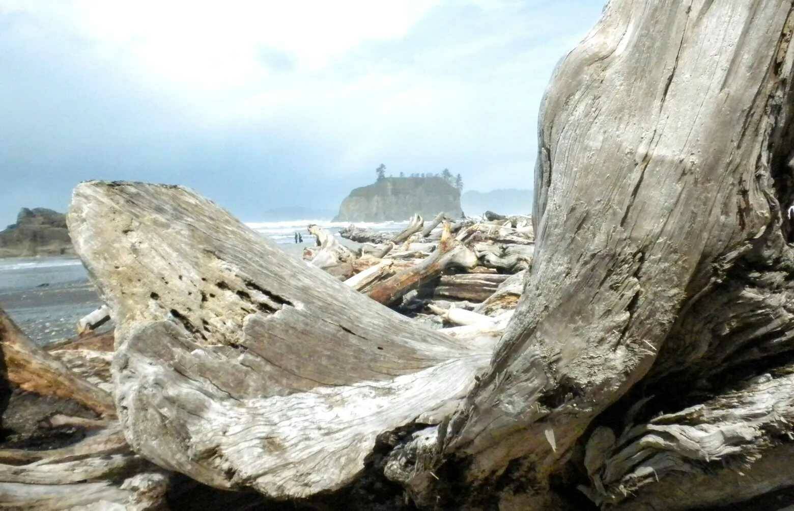 Ruby Beach picked among best beaches in the world