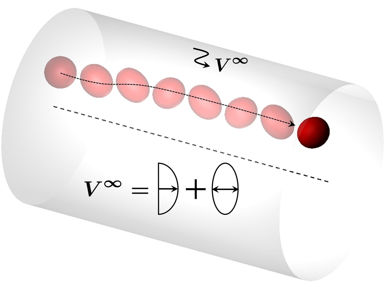 Simulating the fluid dynamics of moving cells to map their location