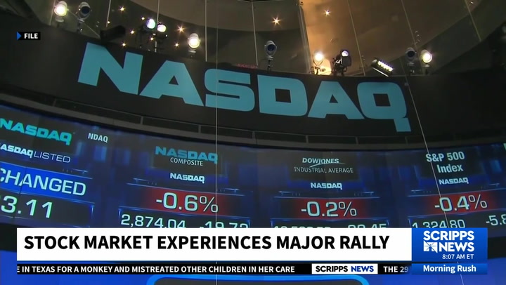 Market Rally: Trump's Tariff Pause Ignites Index Surges