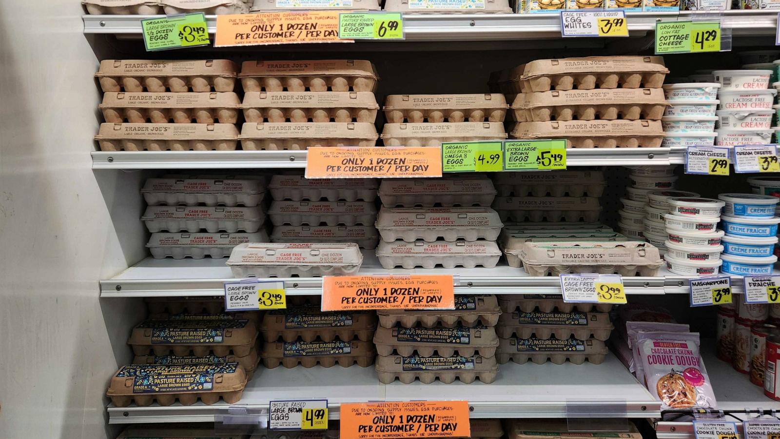 Trump's immigration tactics obstruct efforts to avert bird flu pandemic ...