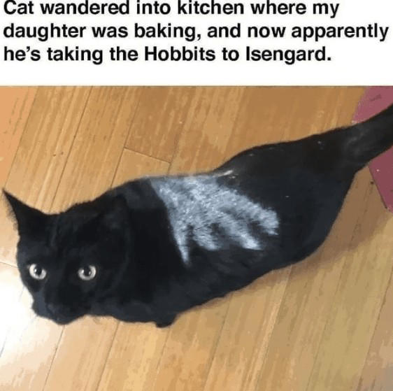 45 Funniest Baking Memes Hot From The Comedy Oven (April 10, 2025)