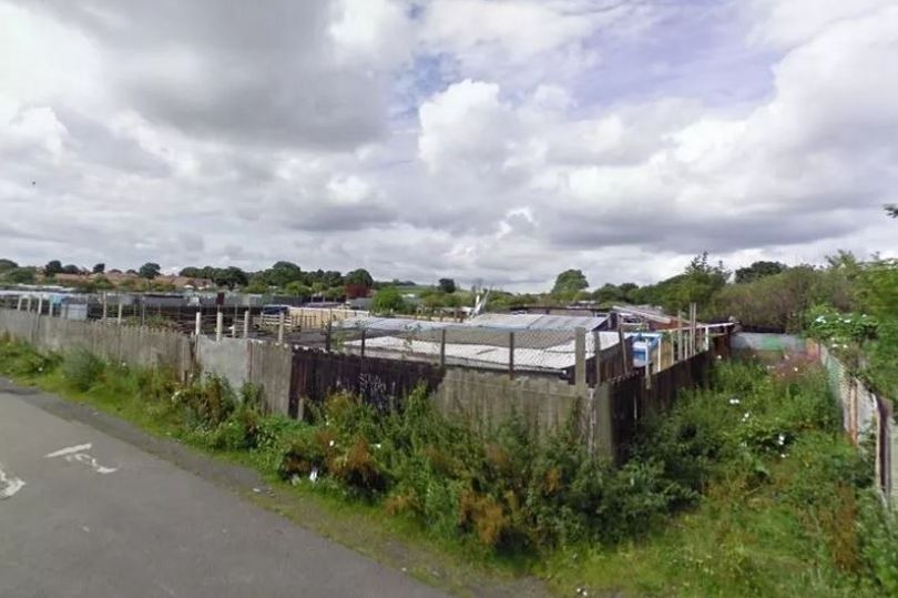 Six chickens beheaded on Hartlepool allotment site in sickening act of ...