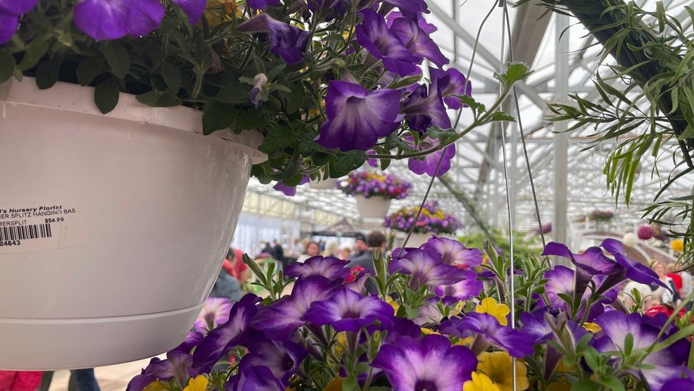 Spring's official start is nearly here and there's work to do in the garden